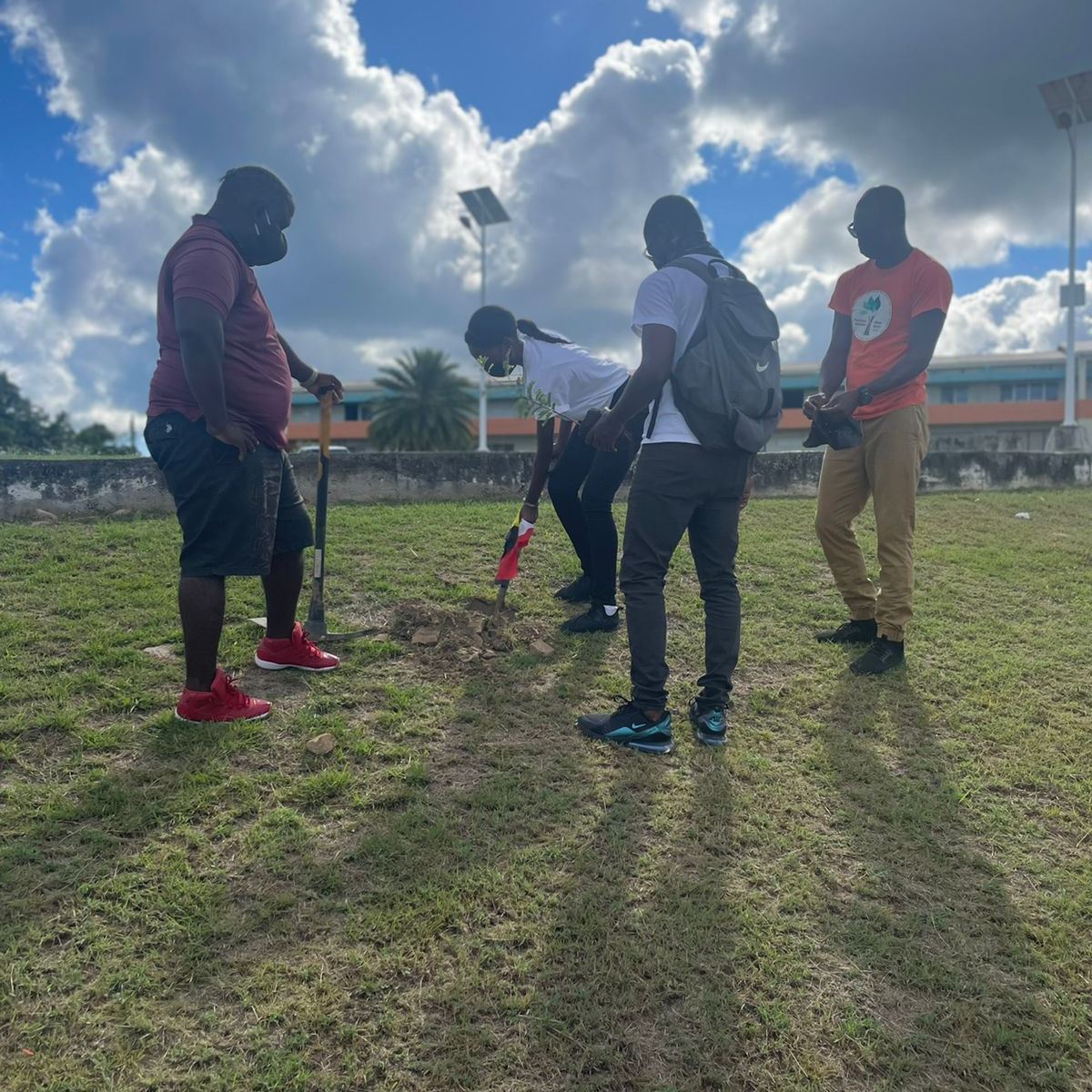 Department of Environment Invites Public to Collaborate in Tree ...