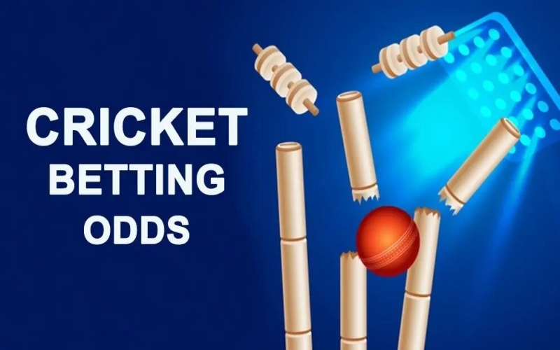 What Are Cricket Betting Odds and How to Deal With Them - Antigua News Room