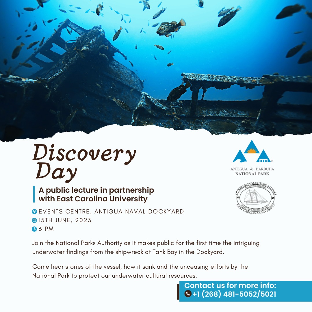 Taking our Cultural Heritage Under the Sea – Discovering the Tank Bay ...
