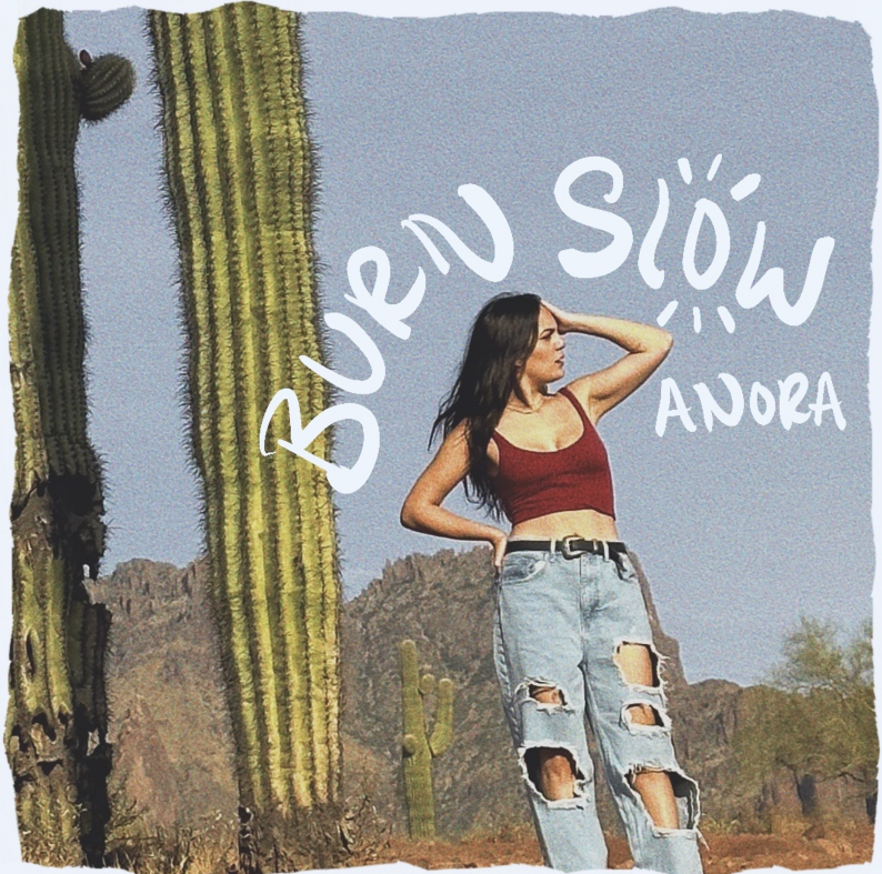 Local producer Teams up with American Singer Anora - Antigua News Room