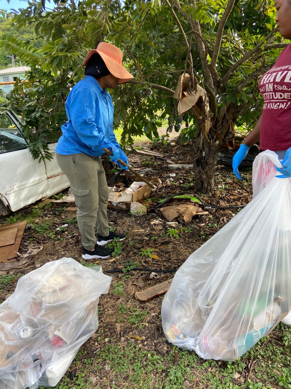 Bakesha Francis-James Leads Successful Community Clean-Up Campaign in ...